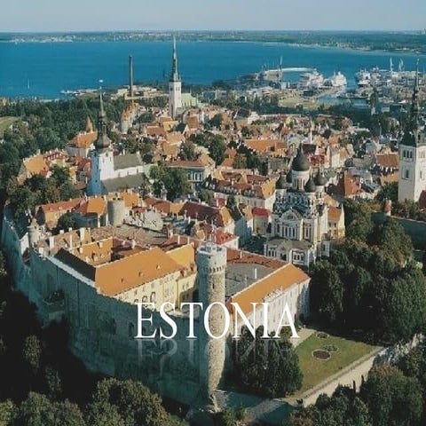 CIRRICULUM VITAE | DOCX