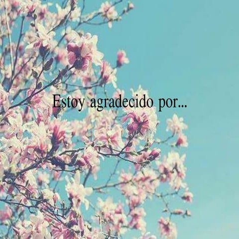 Estoy agradecido-por | PPTX