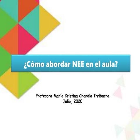 estrategias_abordar_nee_en_el_aula.pptx