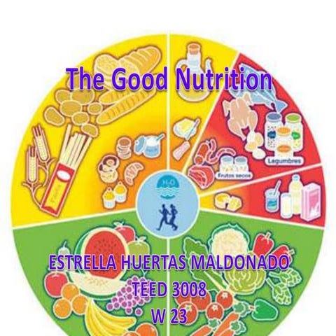 The Good Nutrition | PPTX