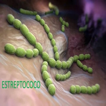 ESTREPTOCOCO Microbiología Unicah 2025.pptx