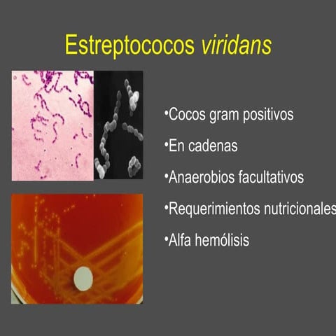 Resumen De Microbiologa Estreptococos Del Grupo Viridans
