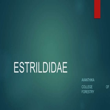 ESTRILDIDAE.pptx