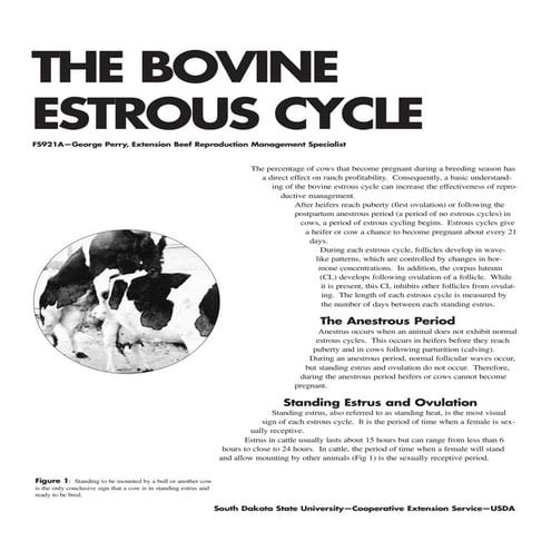 Lecture 3 estrous cycle and estrus signs in domestic animals | PDF