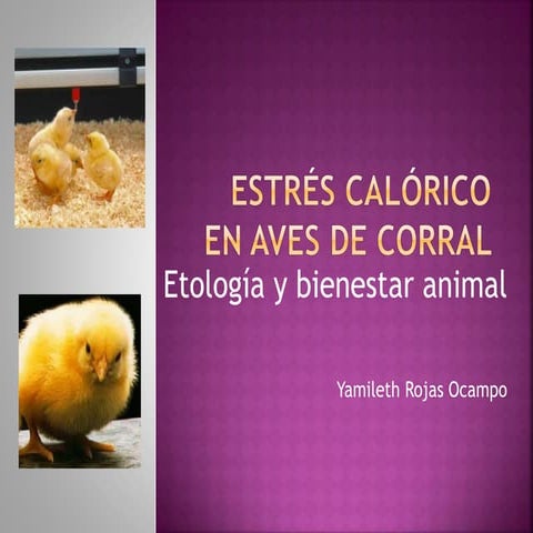 Estrés calórico en aves de corral.pptx