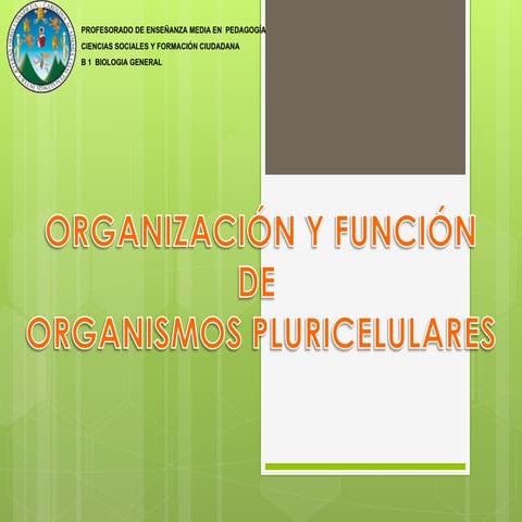 Estructura animales y plantas | PDF