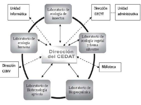 ESTRUCTURA ORGANIZATIVA CEDAT | PPT