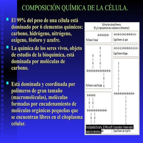 ESTRUCTURA CELULAR Y COMPOSICION QUIMICA (1) (1).ppt