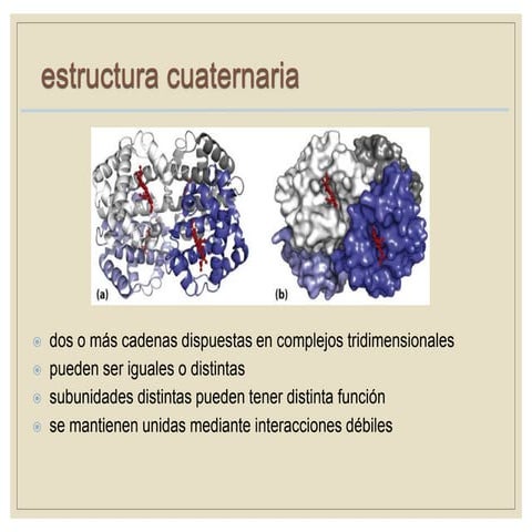 Estructura cuaternaria | PPTX