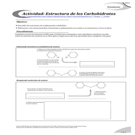 Estructura de carbohidratos: Guía para primero medio, biología | PDF
