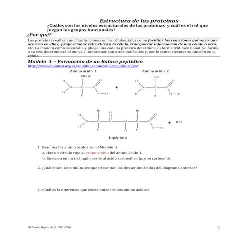 Estructura primaria, secundaria, terciaria y cuaternaria de las ...