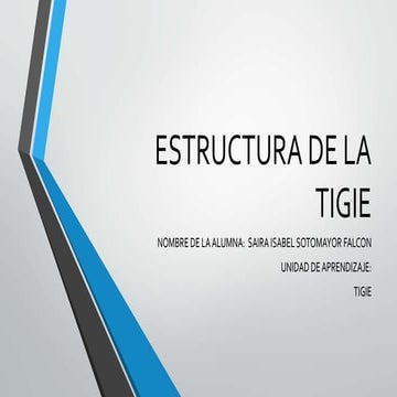 Estructura de la tigie | PPTX