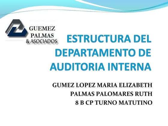 Ejemplo de programa de auditoria | PDF