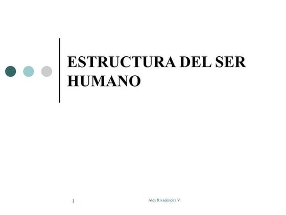 Filosofia antigua Aristoteles Yolanda Salgado David Mendez | PPTX