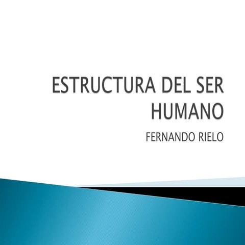 Estructura Del Ser Humano | PPTX