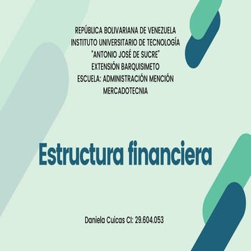 ESTRUCTURA FINANCIERA | PDF