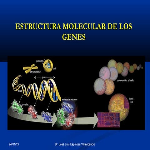 Estructura molecular de los genes | PPT