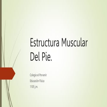 Estructura Muscular Del Pie.pptx