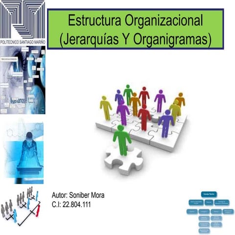 Estructura Organizacional Jerarquia Y Organigramas