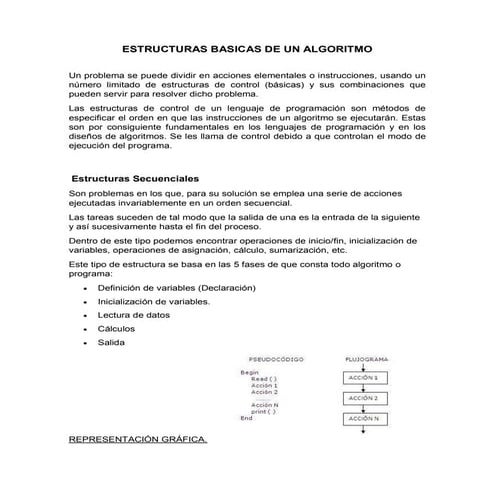 Estructuras basicas de un algoritmo | PDF