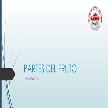 ESTRUCTURAS DEL FRUTO Y PARTES DE LA FRUTA .pptx