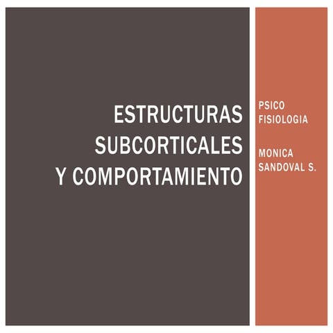 Estructuras Subcorticales | PPTX