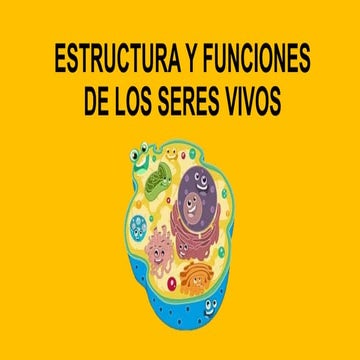 Estructura y funciones de los seres vivos | PPTX