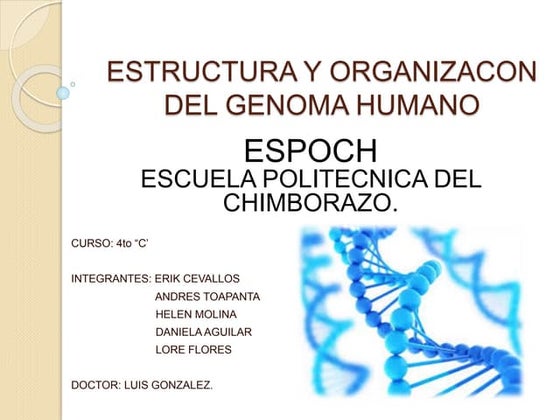 El genoma humano | PPT
