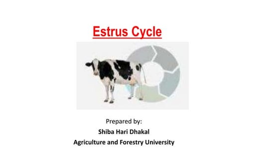 Presentation on ESTROUS CYCLE | PPT