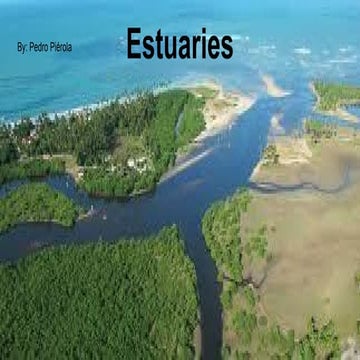 Estuaries