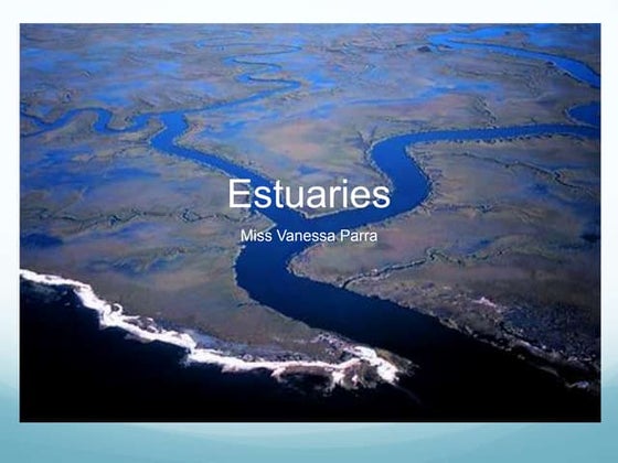 Abiotic and Biotic Factors in Estuaries | PPTX | Geography | Science
