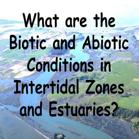 Abiotic and Biotic Factors in Estuaries | PPTX