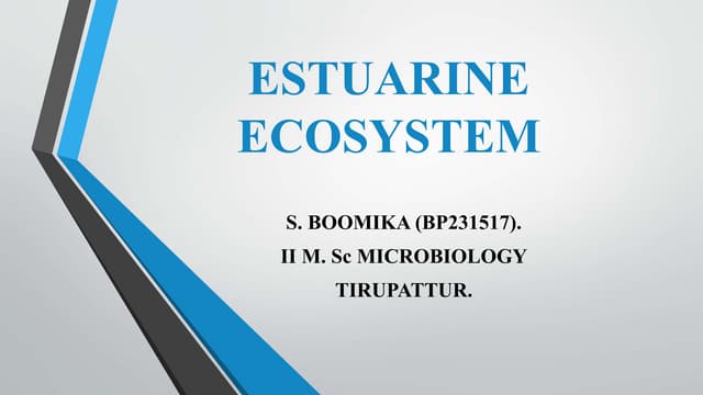 Lacustrine | PPTX