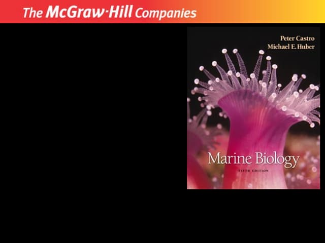 Diffusion In Fish Gills | PPT