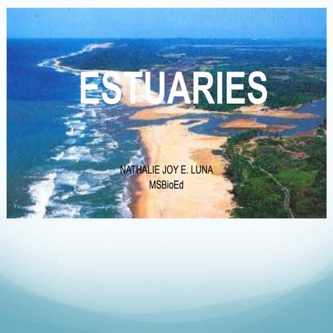 Estuaries ecosystem | PPTX