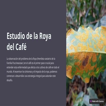 Estudio-de-la-Roya-del-Cafe Y Posibles soluciones.pptx