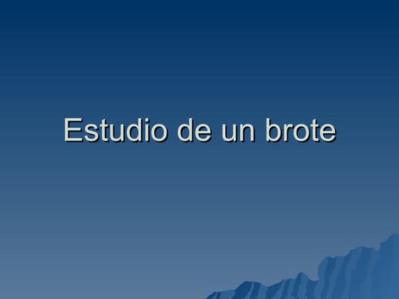 ETAPAS DE LA INVESTIGACIÓN DE UN BROTE. Epidemiología. LolaFFB | PDF