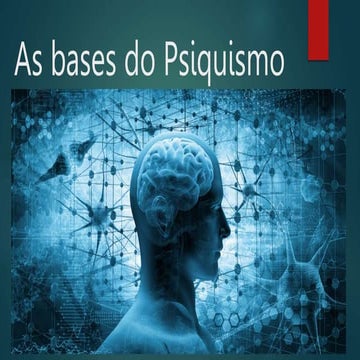Estudo - As bases do Psiquismo E transtornos emocionais.pptx