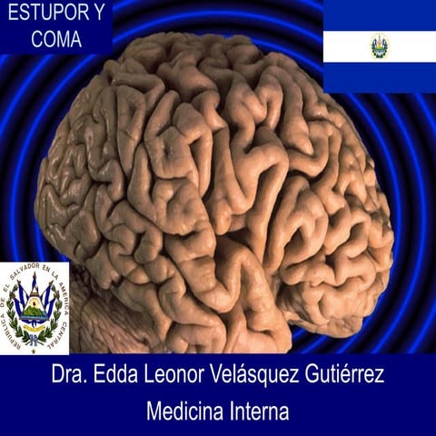 Estupor y coma | PPT