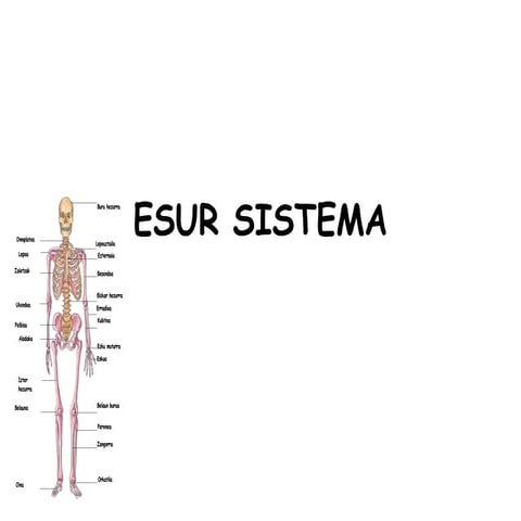 Esur sistema | PPT