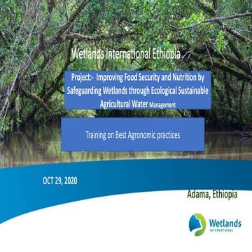 ESWAM TRAINING (Zelalem) crop productio.pptx