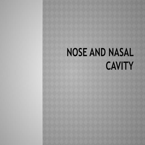 1.nose_and_nasal_cavity.pptxhdhfjgkgkgjfjvjgkhkvhc | PPTX