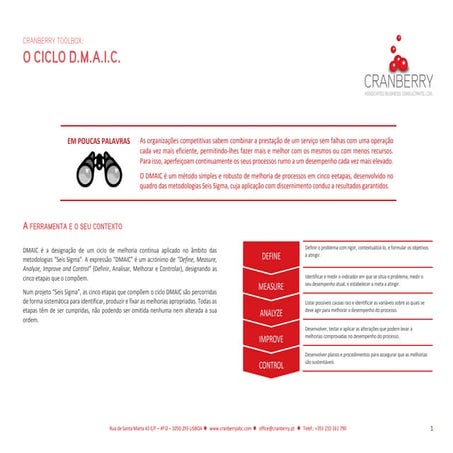 Etapas dmaic | PDF