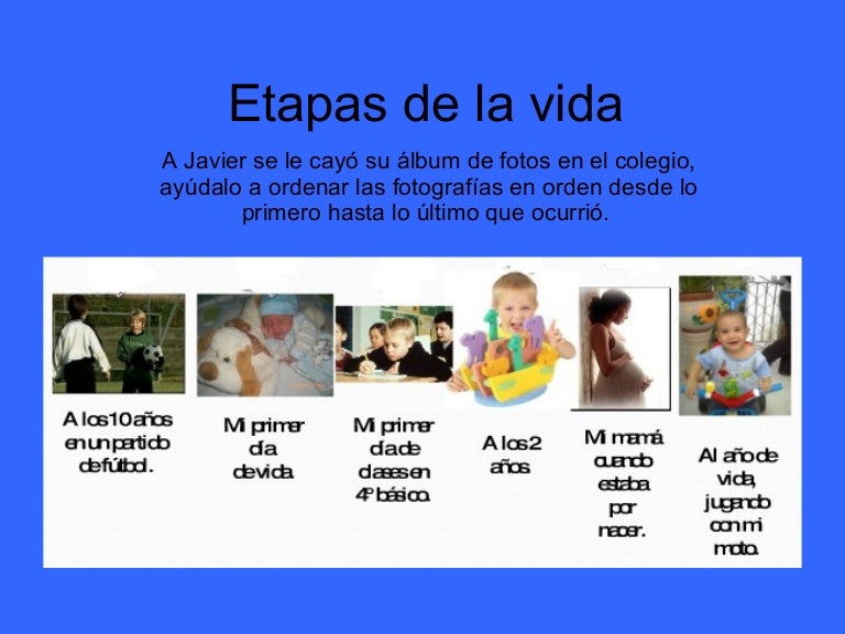 Etapas de la vida