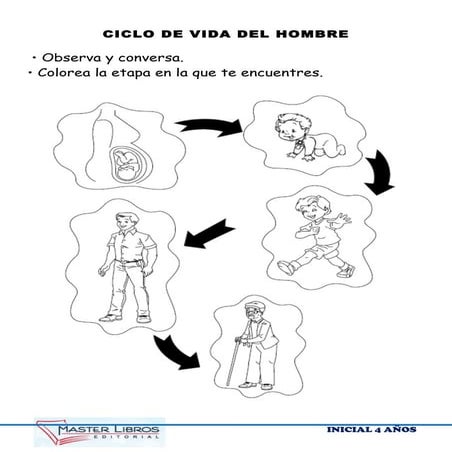 Secuencia Del Ciclo De Vida De Una Planta Para Imprimir Ciclo De Vida