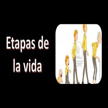 Etapas de la vida | PPTX