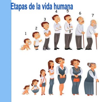 Etapas de la vida humana | PPTX