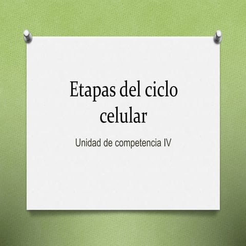 Etapas del ciclo celular | PPTX