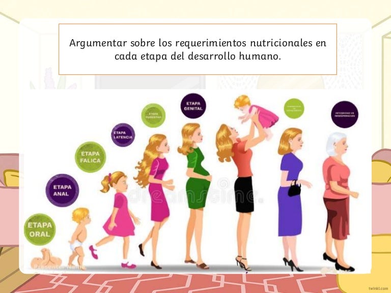 Etapas Del Desarrollo Humano _ Desarrollo Humano Etapas Y ...
