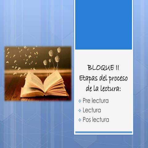 Etapas del proceso de la lectura | PPTX